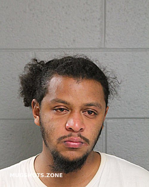 DAVID NELSON 01/17/2025 - Chicago Mugshots Zone