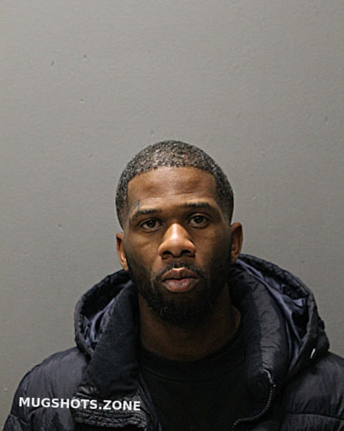 MICHAEL S DAVIS 01/17/2025 - Chicago Mugshots Zone
