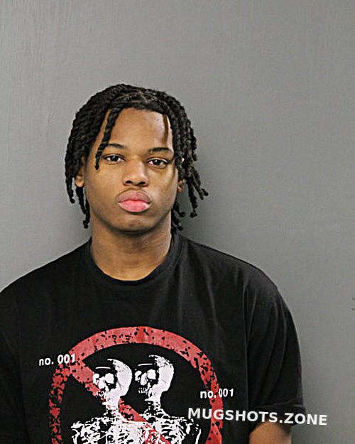 DEONTE E FIELDS 01/18/2025 - Chicago Mugshots Zone