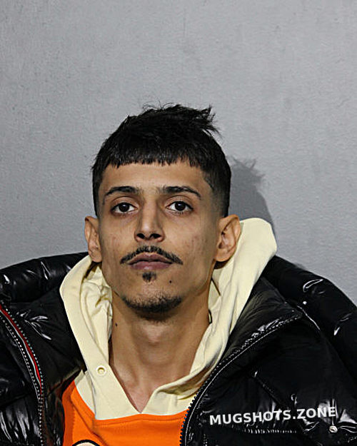 MOHAMED NASER-SALEM AHMED 01/18/2025 - Chicago Mugshots Zone