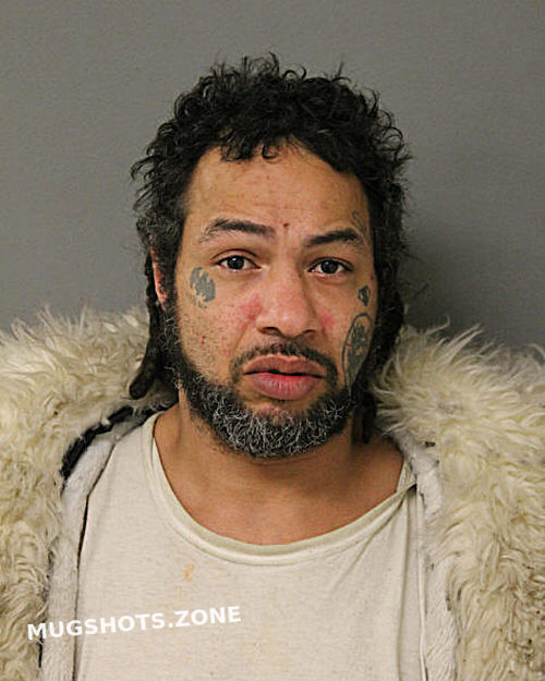 STEVE GILES 01/19/2025 - Chicago Mugshots Zone