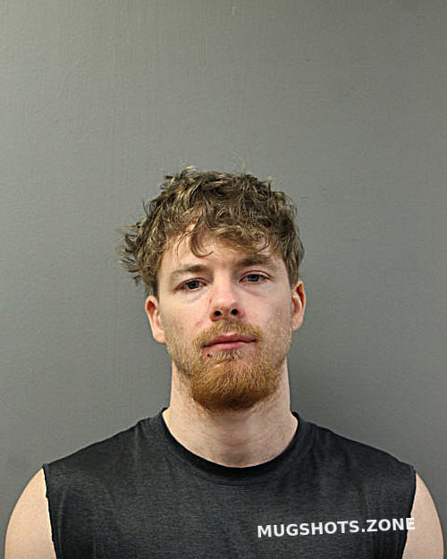 MARK DYLAN MCKENZIE 01/19/2025 - Chicago Mugshots Zone