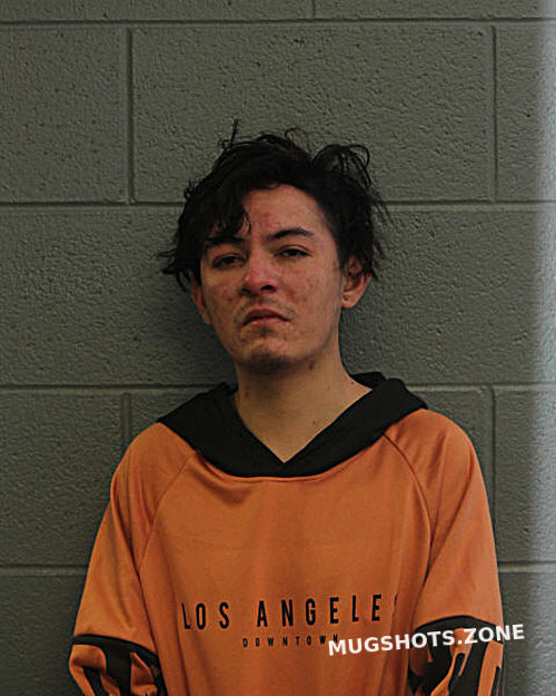 MAINOR ANTONIO SERNA 01/20/2025 - Chicago Mugshots Zone