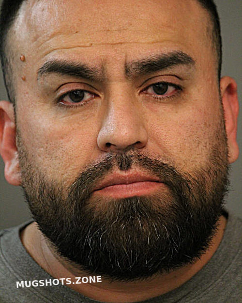 LEONARDO A LABASTIDA CHAVEZ 01/20/2025 - Chicago Mugshots Zone