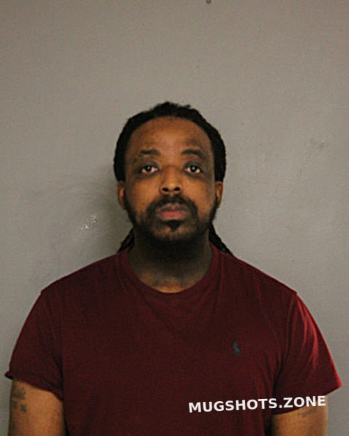 STEVEN J DAVIS 01/20/2025 - Chicago Mugshots Zone
