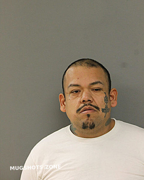 GIOVANNY GONZALEZ 01/21/2025 - Chicago Mugshots Zone