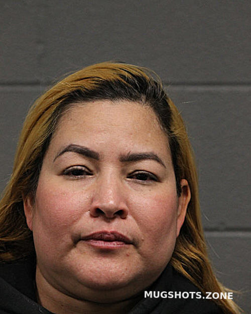 MAOLY MARBELLYS VELOZ MEDINA 01/21/2025 - Chicago Mugshots Zone