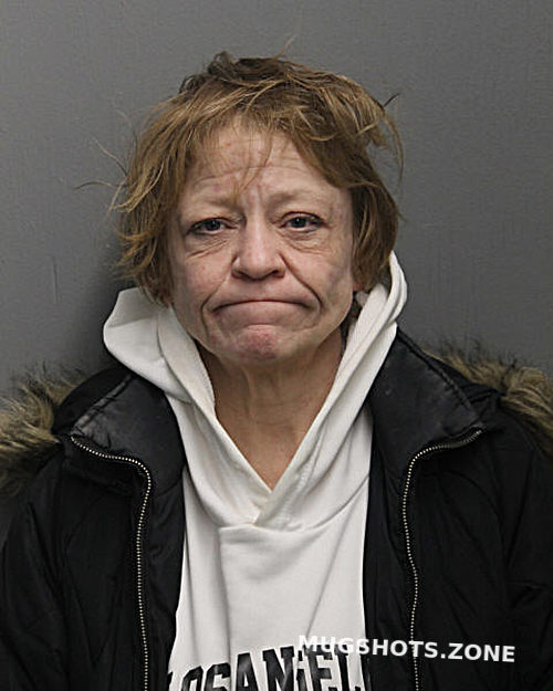 SHARON J OLSON 01/23/2025 - Chicago Mugshots Zone