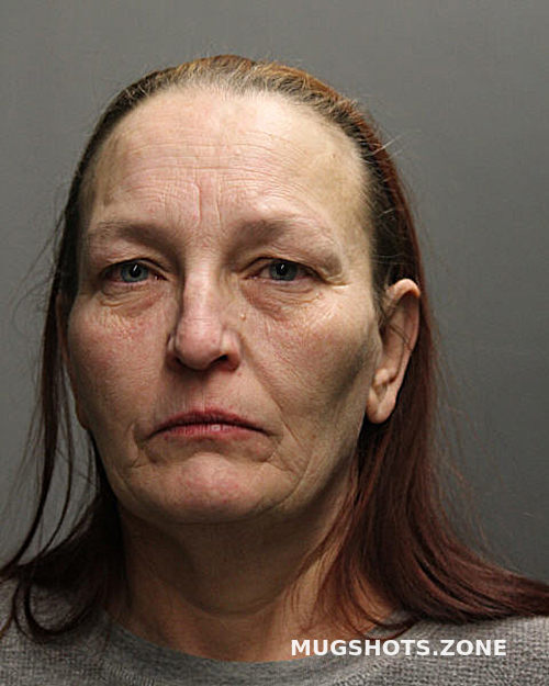 PAULA M COLEMAN 01/23/2025 - Chicago Mugshots Zone