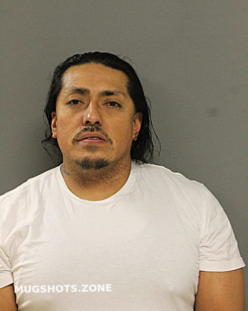 MARIO RICO 01/24/2025 - Chicago Mugshots Zone