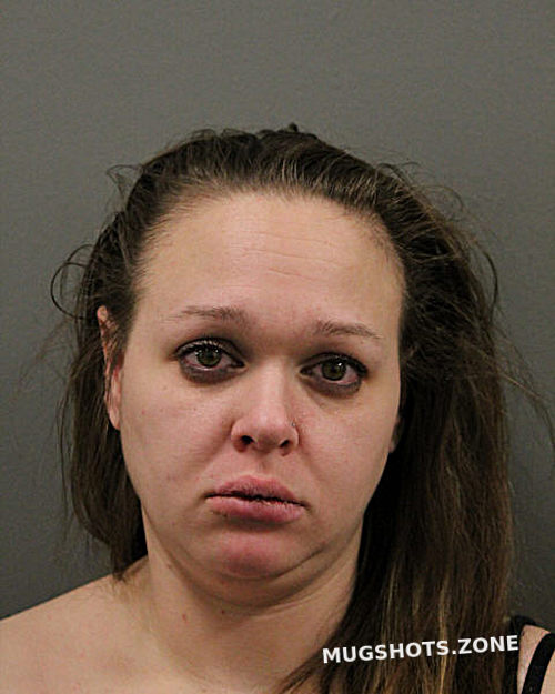 MEGAN M O LEARY 01/24/2025 - Chicago Mugshots Zone