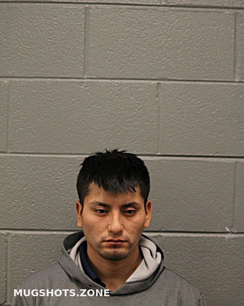 BRYAN S ANDAGANA-ESPIN 01/24/2025 - Chicago Mugshots Zone