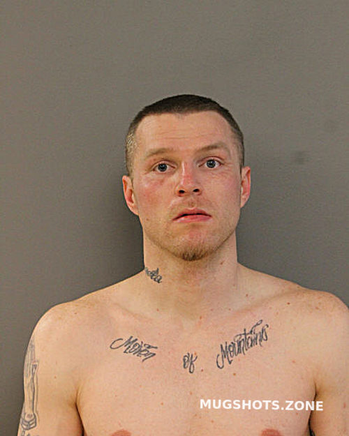 JUSTIN M KOEHLER 01/26/2025 - Chicago Mugshots Zone