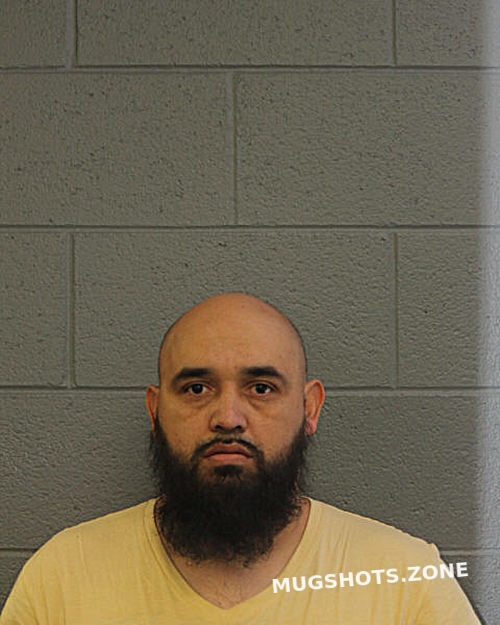 EDGAR GOMEZ TORRES 01/26/2025 - Chicago Mugshots Zone