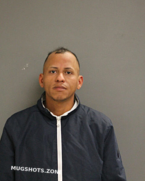 RODOLFO J COLEMNARES ROMERO 01/26/2025 - Chicago Mugshots Zone