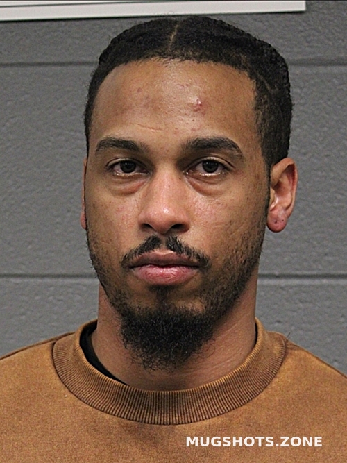 DAVID M ANDERSON 01/28/2025 - Chicago Mugshots Zone