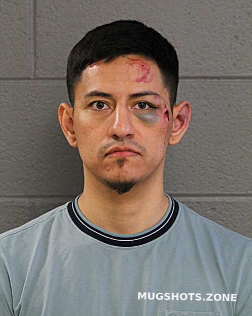 JAIME SEPULVEDA SUAREZ 01/28/2025 - Chicago Mugshots Zone