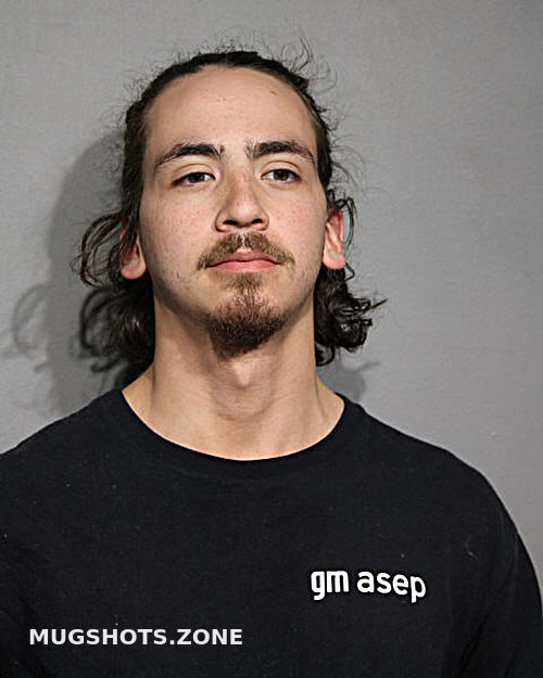 MICHAEL P KASSIS 01/29/2025 - Chicago Mugshots Zone