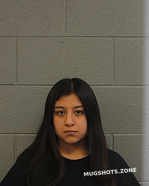 PRINCESS MERCADO 01/30/2025 - Chicago Mugshots Zone