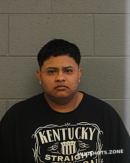 BRYAN FERNANDO TOMALA-MENOSCAL 01/30/2025 - Chicago Mugshots Zone