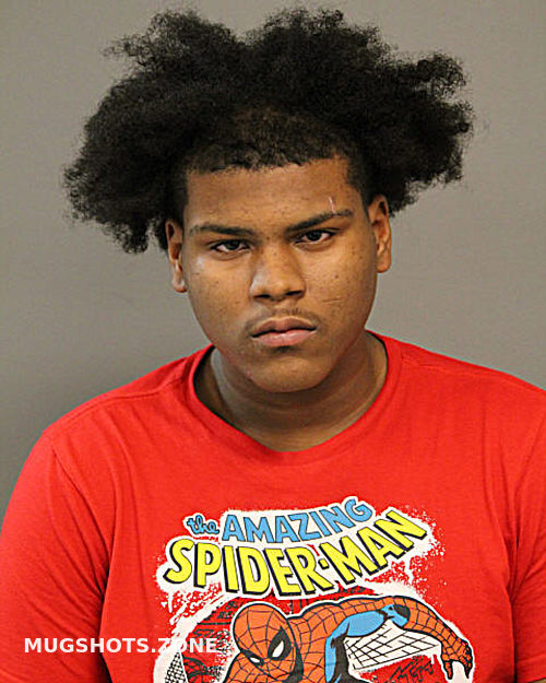 MARKEL L DAVIS 01/30/2025 - Chicago Mugshots Zone