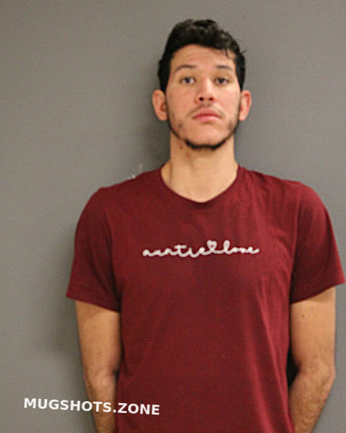 ADELSO DANIEL PENA MONTOYA 02/01/2025 - Chicago Mugshots Zone