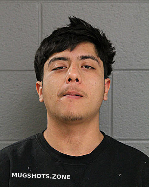ALEXIS FIGUEROA 02/01/2025 - Chicago Mugshots Zone