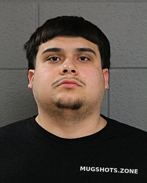 LEO N MARTINEZ-RODRIGUEZ 02/01/2025 - Chicago Mugshots Zone