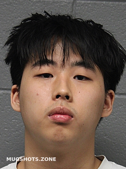 RYAN LEE 02/02/2025 - Chicago Mugshots Zone