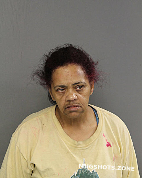 SHANNON D TURNER 02/02/2025 - Chicago Mugshots Zone