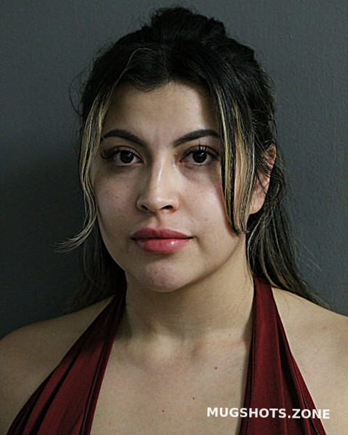 MARIA G RUEDA MORENO 02/02/2025 - Chicago Mugshots Zone