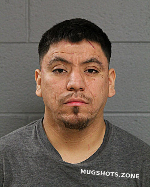 WILIANS Y MARTINEZ-HERNANDEZ 02/02/2025 - Chicago Mugshots Zone