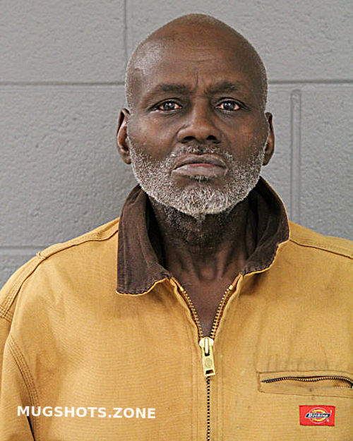 HILARY STRONG 02/03/2025 - Chicago Mugshots Zone