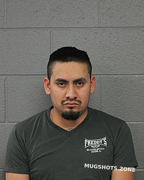 JOSE ARMANDO ROMER FIGUEROA 02/04/2025 - Chicago Mugshots Zone
