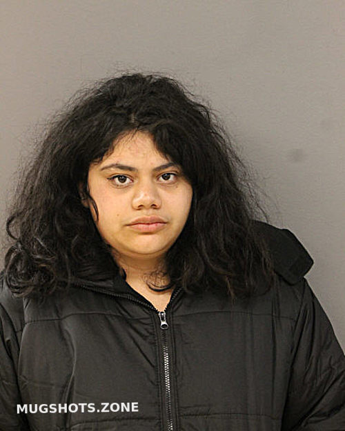 MARIE E BUSTAMONTE 02/05/2025 - Chicago Mugshots Zone
