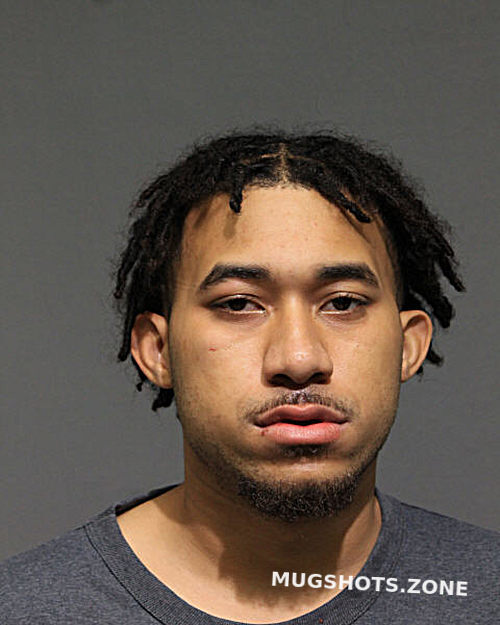 ANDRE E COLEMAN 02/05/2025 - Chicago Mugshots Zone