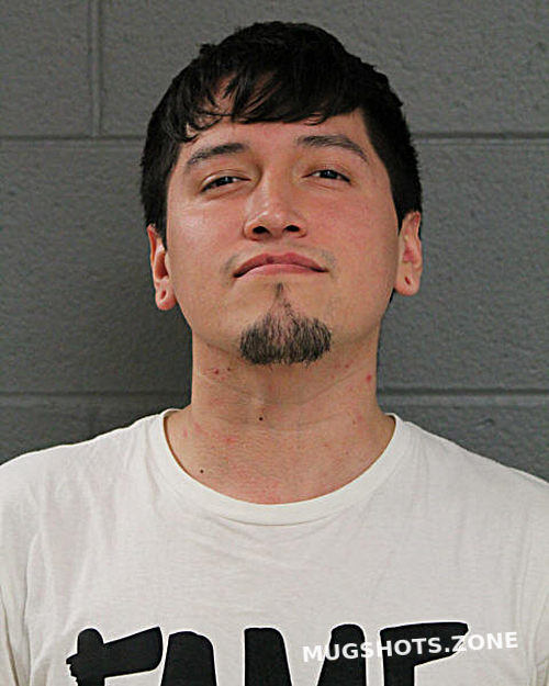JASON WEAVER 02/06/2025 - Chicago Mugshots Zone