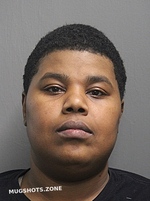 SARAH L STOKES 02/06/2025 - Chicago Mugshots Zone