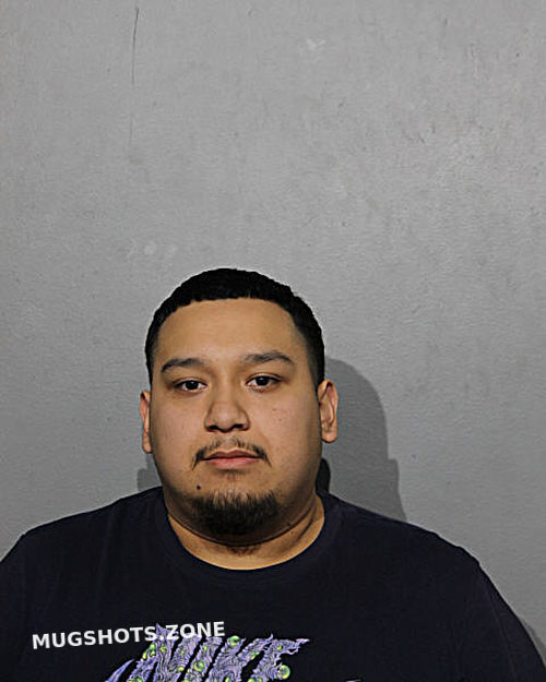 RUDY ALEXANDER FUENTES 02/06/2025 - Chicago Mugshots Zone