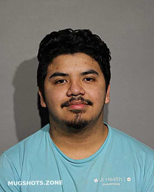 LUIS F ROLDAN 02/07/2025 - Chicago Mugshots Zone