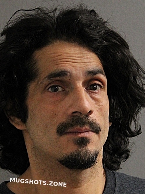 MAXAMINO DELATORRE 02/08/2025 - Chicago Mugshots Zone