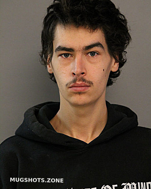 JOSHUA R SHEARER 02/09/2025 - Chicago Mugshots Zone