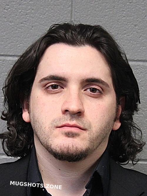 MICHAEL J ROBB 02/10/2025 - Chicago Mugshots Zone