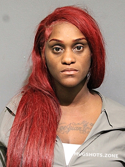 CHRISLYN A FITCH 02/10/2025 - Chicago Mugshots Zone
