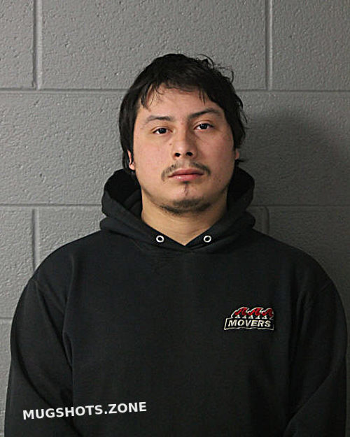 JESUS SALGADO-CASTREJON 02/13/2025 - Chicago Mugshots Zone