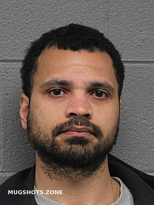 ANTHONY S SUMNER 02/13/2025 - Chicago Mugshots Zone