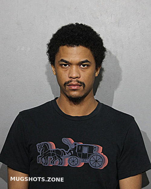 RYAN MILES 02/13/2025 - Chicago Mugshots Zone