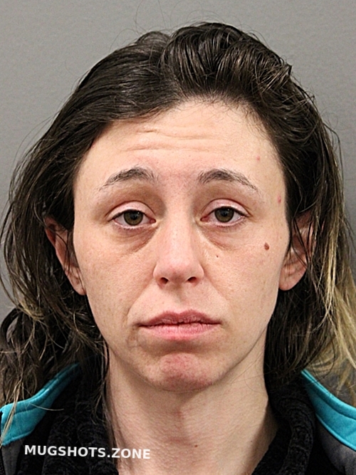 SAMANTHA R PRESSNELL 02/14/2025 - Chicago Mugshots Zone