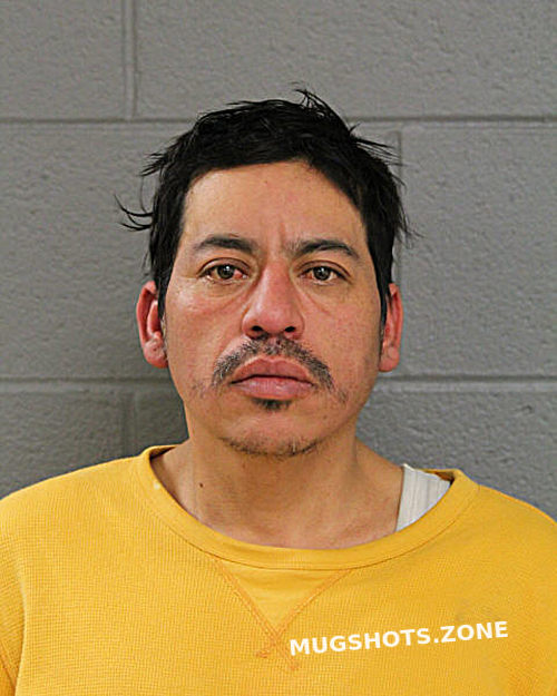 JOSE P RIOS QUINONES 02/15/2025 - Chicago Mugshots Zone