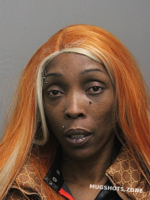 LAKESHA D BOWERS 02/15/2025 - Chicago Mugshots Zone